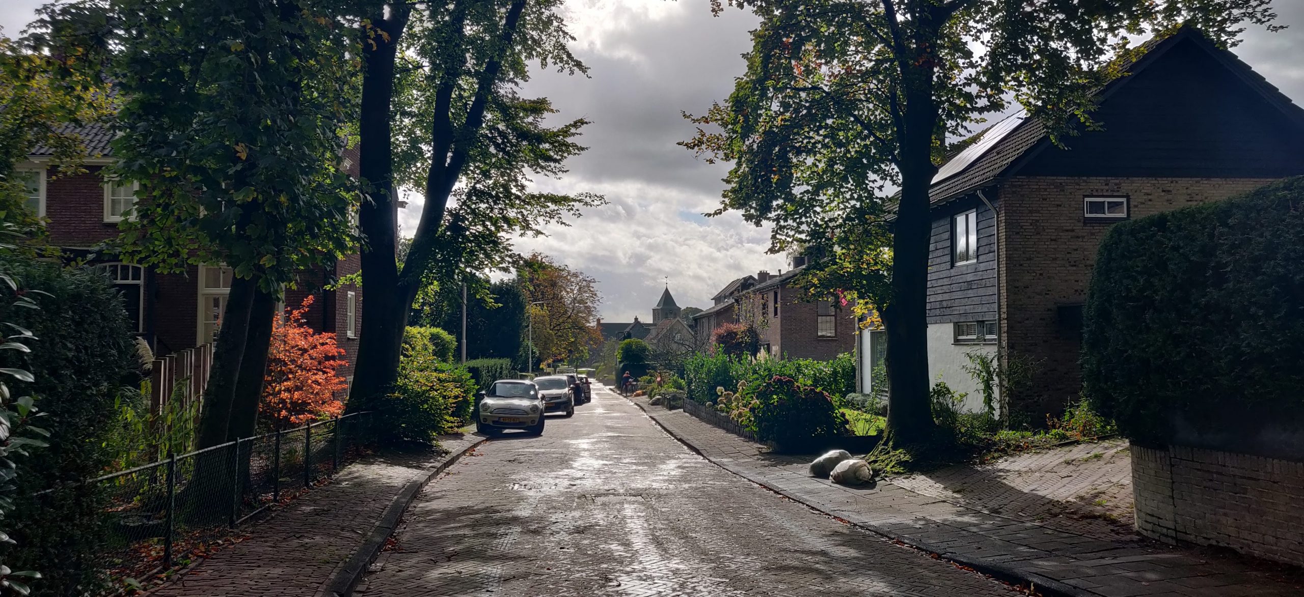 D66 Renkum — Wonen in Renkum | Verkiezingsprogramma