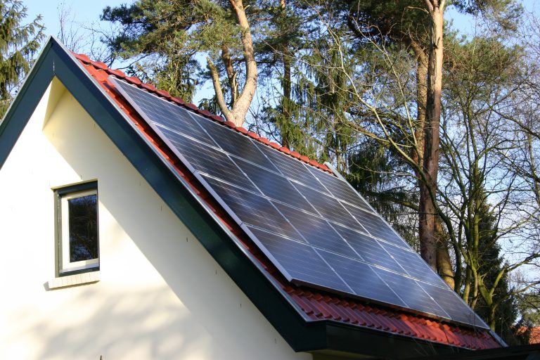 D66 Renkum — Duurzaam Renkum | Verkiezingsprogramma