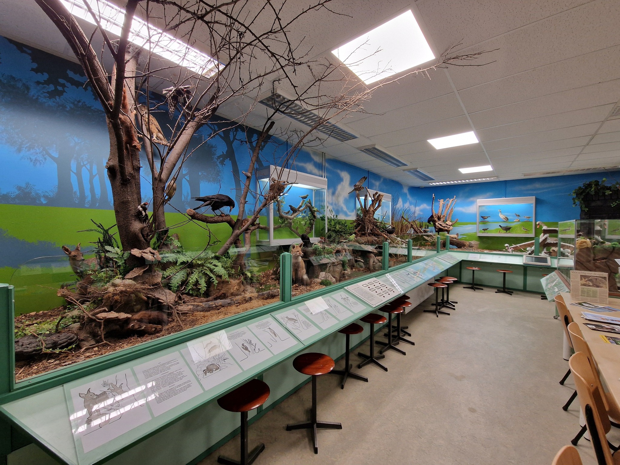 D66 Schiedam — Zowel het Ilex College als De Boshoek kunnen vooruit kijken