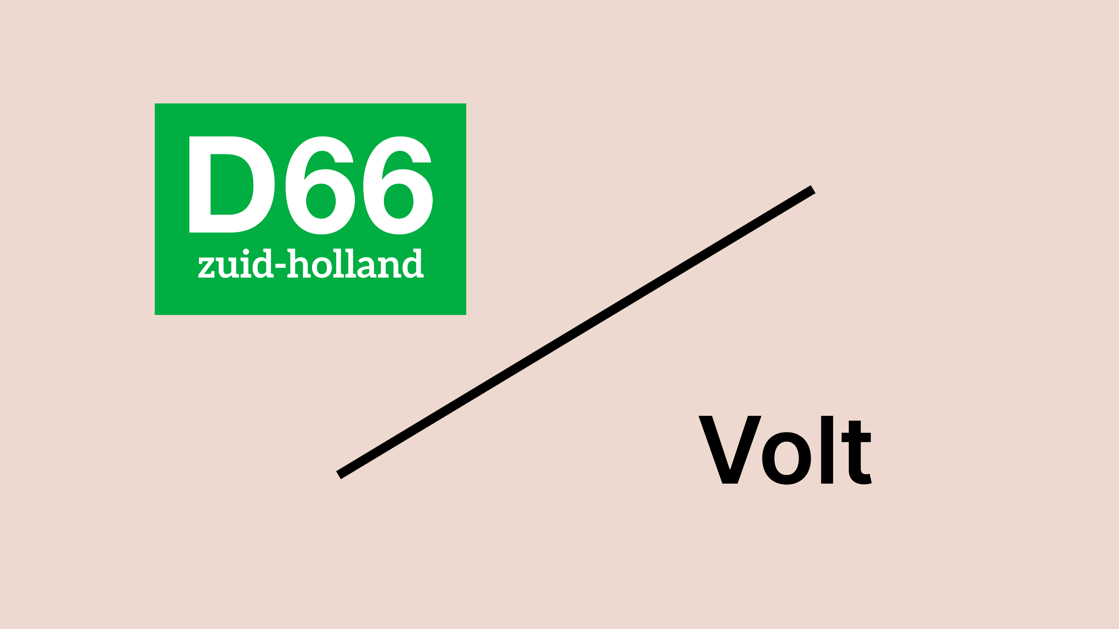 D66 Zuid-Holland — Partijdige Kieswijzer D66-Volt